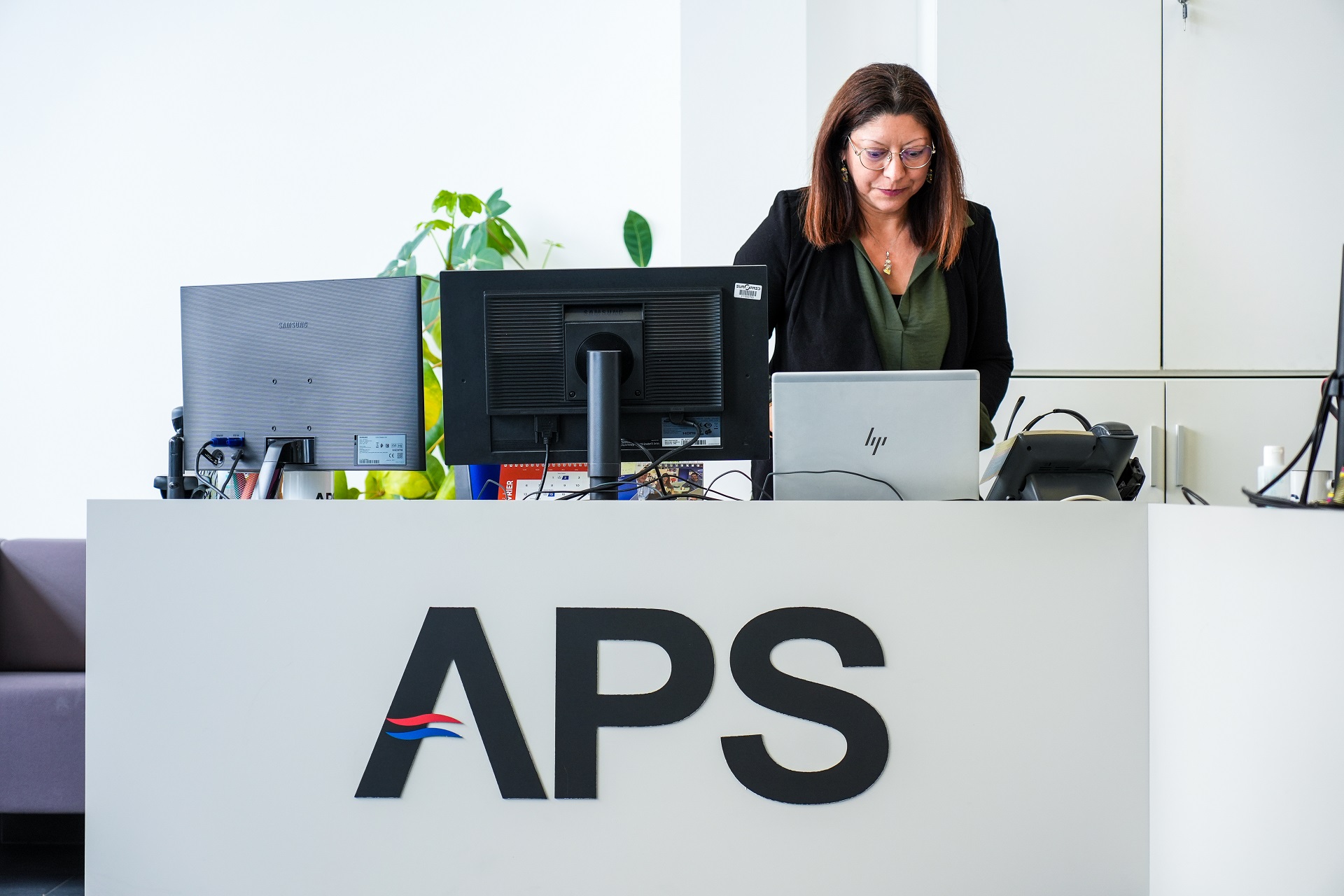 Qui sommes-nous - APS France